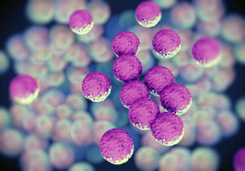 Diferencia Entre Quimioautótrofos y Quimioheterótrofos
