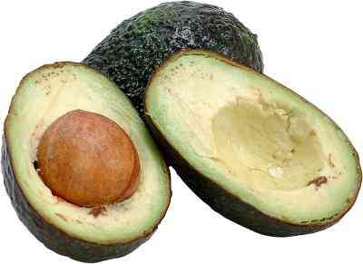 Partes de un Aguacate