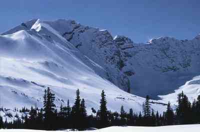 ¿Cómo Afecta La Altitud Afecta A La Vida De La Planta?