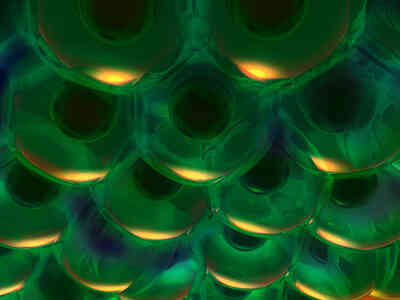 Cómo Calcular la Isotonicidad