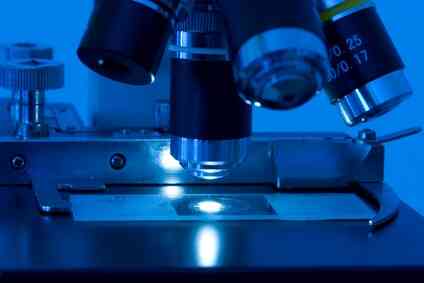 ¿Qué Es una platina de Microscopio?