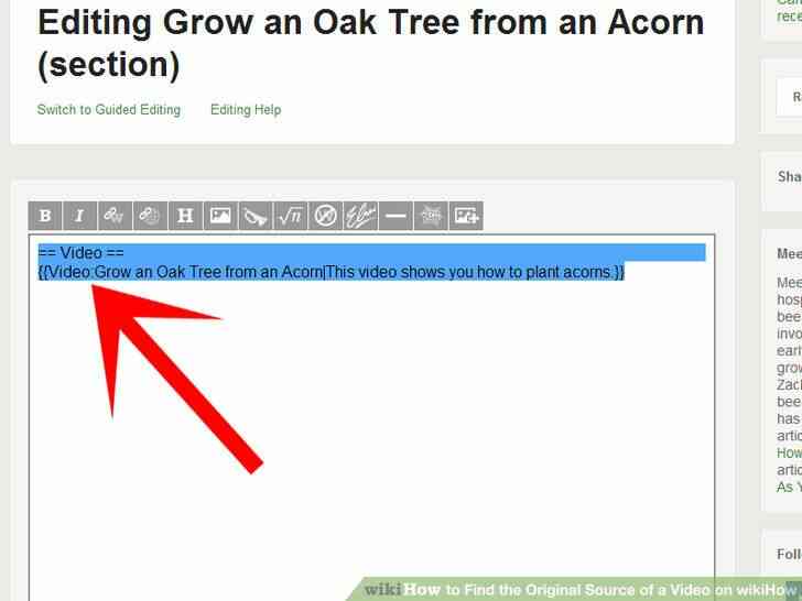 Cómo Encontrar la Fuente Original de un Vídeo sobre Cómo