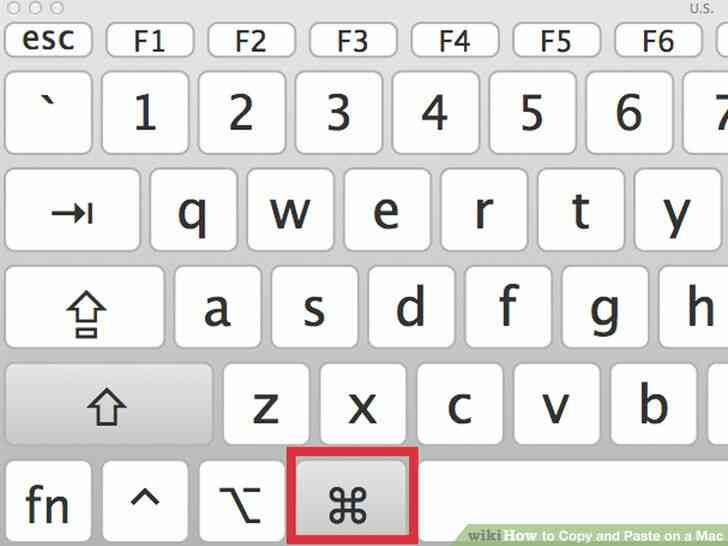 Cómo Copiar y Pegar en un Mac