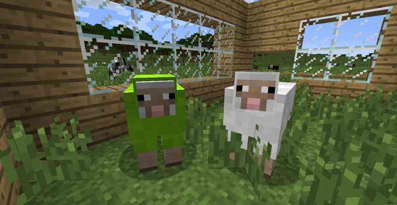 Cómo cuidar a una Mascota Ovejas en Minecraft