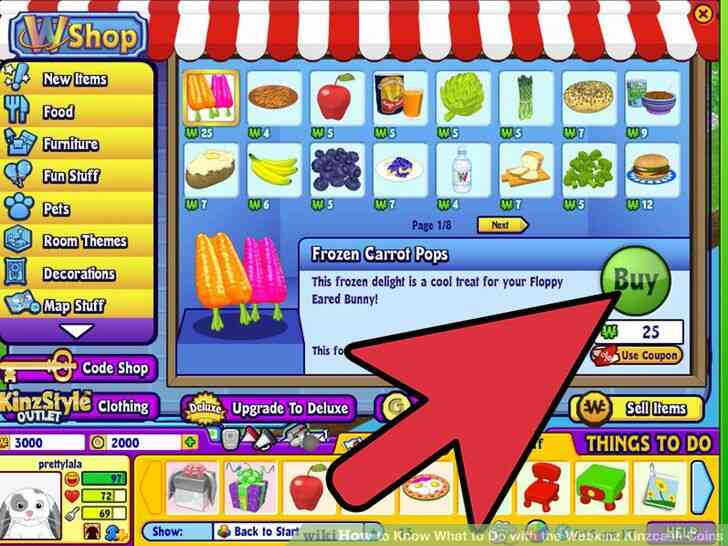 Cómo Saber Qué Hacer con el Webkinz Kinzcash Monedas
