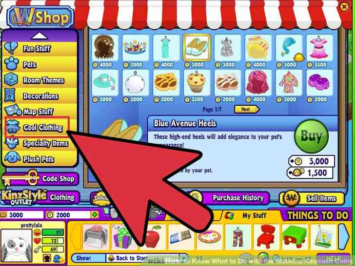Cómo Saber Qué Hacer con el Webkinz Kinzcash Monedas