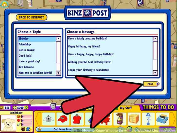 Cómo Saber Qué Hacer con el Webkinz Kinzcash Monedas