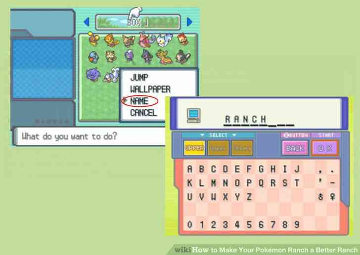 Cómo Hacer que Tu Pokémon Ranch una Mejor Ranch