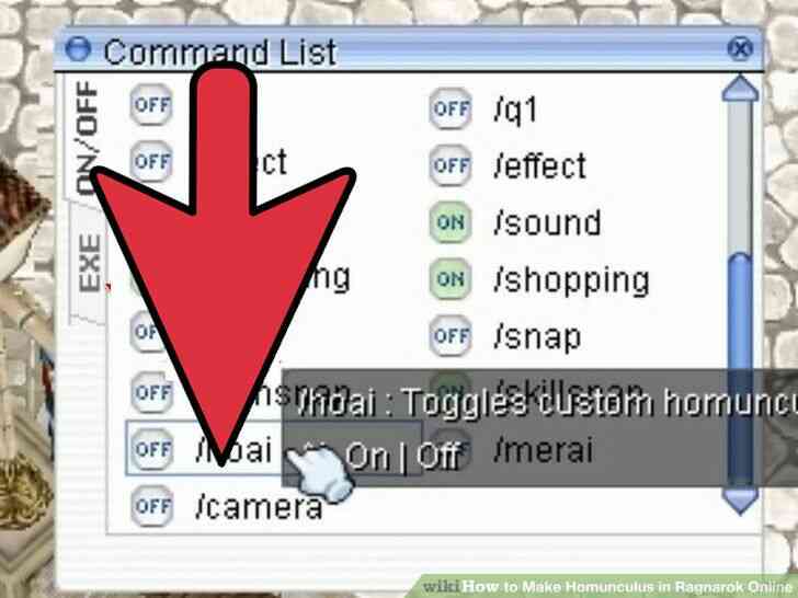 Cómo Hacer Homúnculo en Ragnarok Online