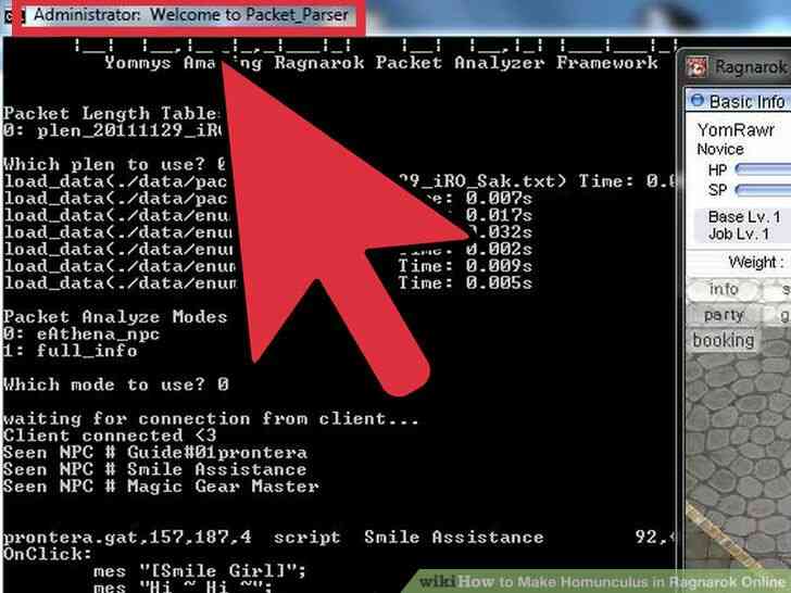 Cómo Hacer Homúnculo en Ragnarok Online
