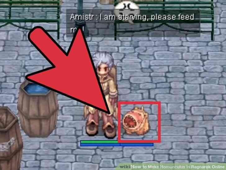 Cómo Hacer Homúnculo en Ragnarok Online