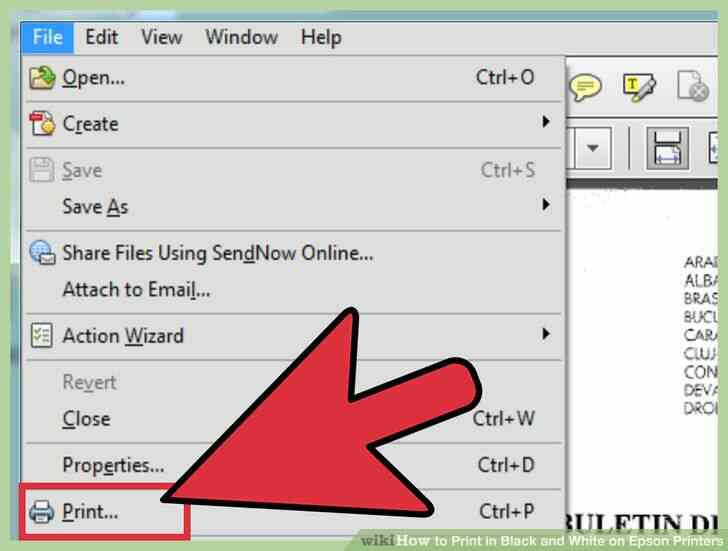 Cómo Imprimir en Blanco y Negro de Impresoras Epson