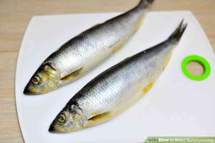 Cómo Hacer Surstromming