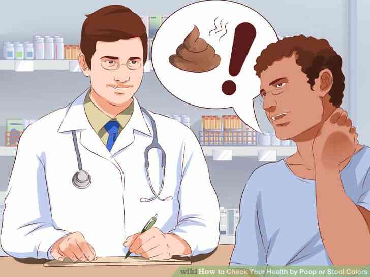 Cómo Comprobar Su Salud por Excremento o Heces Colores