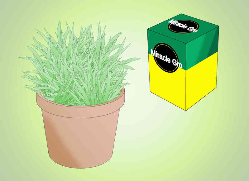 Cómo Utilizar Miracle Gro