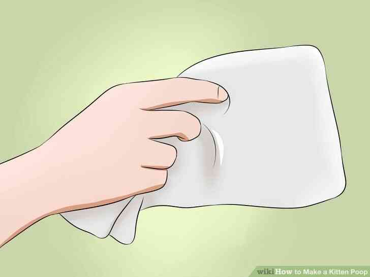 Cómo Hacer un Gatito Caca