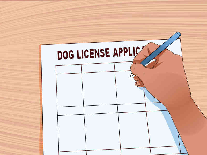 Cómo Obtener una Licencia de Perros en Pennsylvania