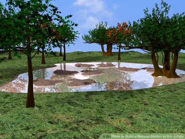 Cómo Construir un Refugio Natural en la Selva